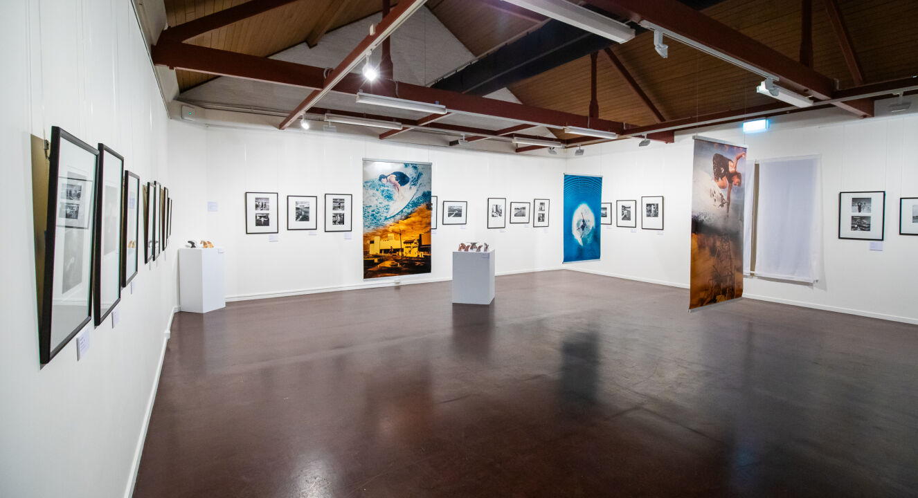 IPPY DROPS IN…and Rips - Ipswich Art Gallery