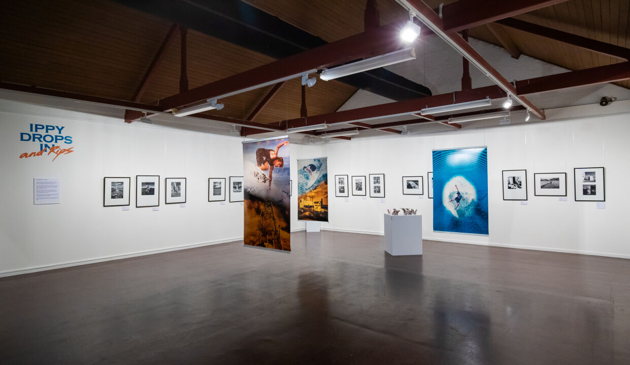 IPPY DROPS IN…and Rips - Ipswich Art Gallery